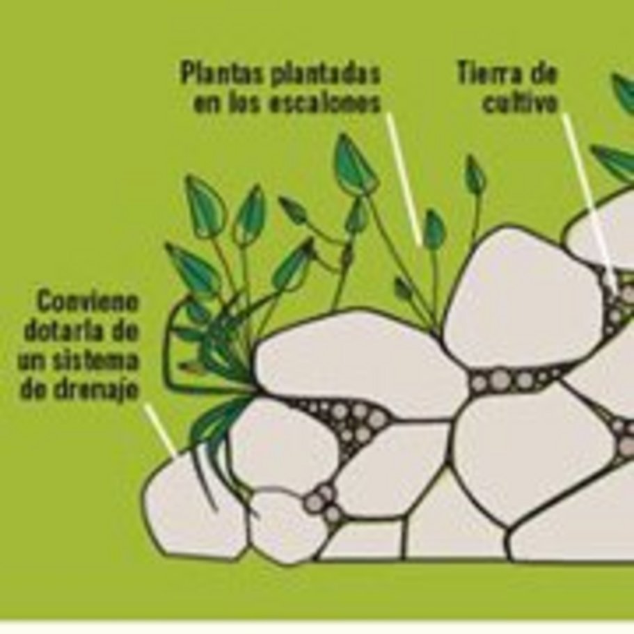 La rocalla, un jardín sostenible